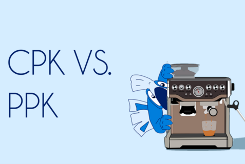 Cpk vs Ppk for process capability. What is the difference?