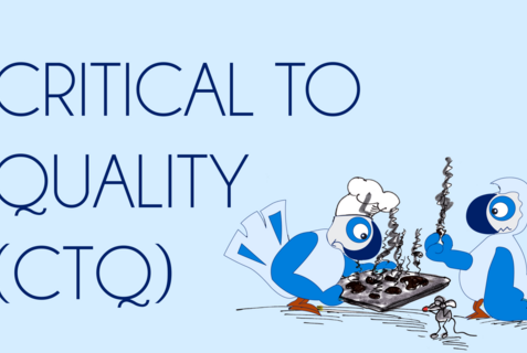 What is Critical to Quality CTQ? Examples and explanation