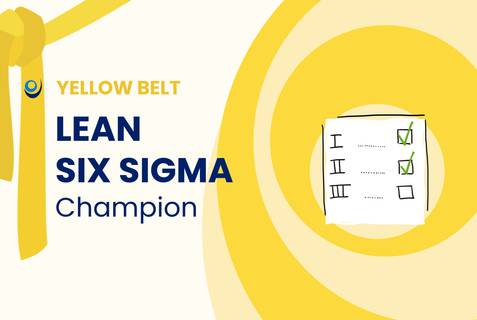 Learn to work with Lean Six Sigma| Online Training