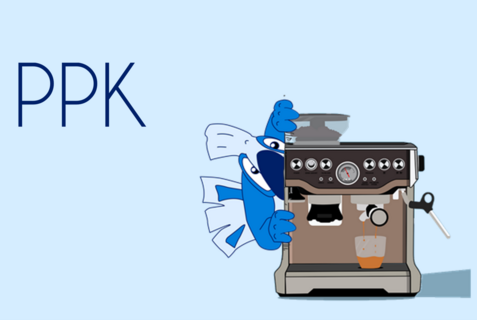 How to work with Ppk index for Process capability?