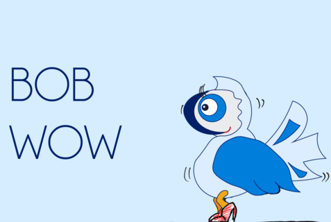 Was ist BOB WOW? Best of Best, Worst of Worst