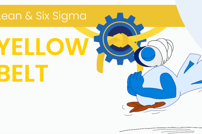 CERTIFIED LEAN SIX SIGMA YELLOW BELT